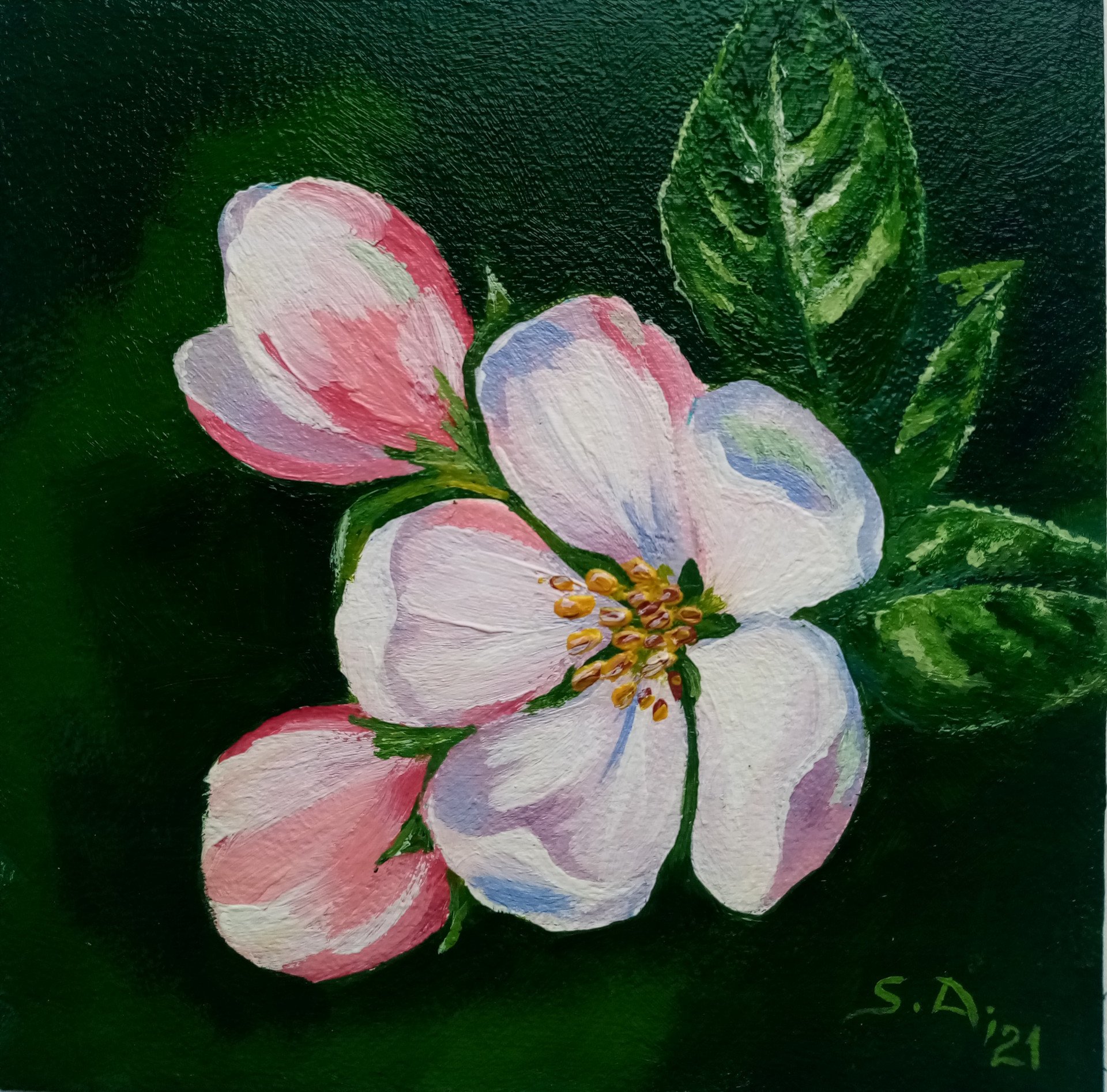 Spring Blossom Painting by Svitlana Davydova