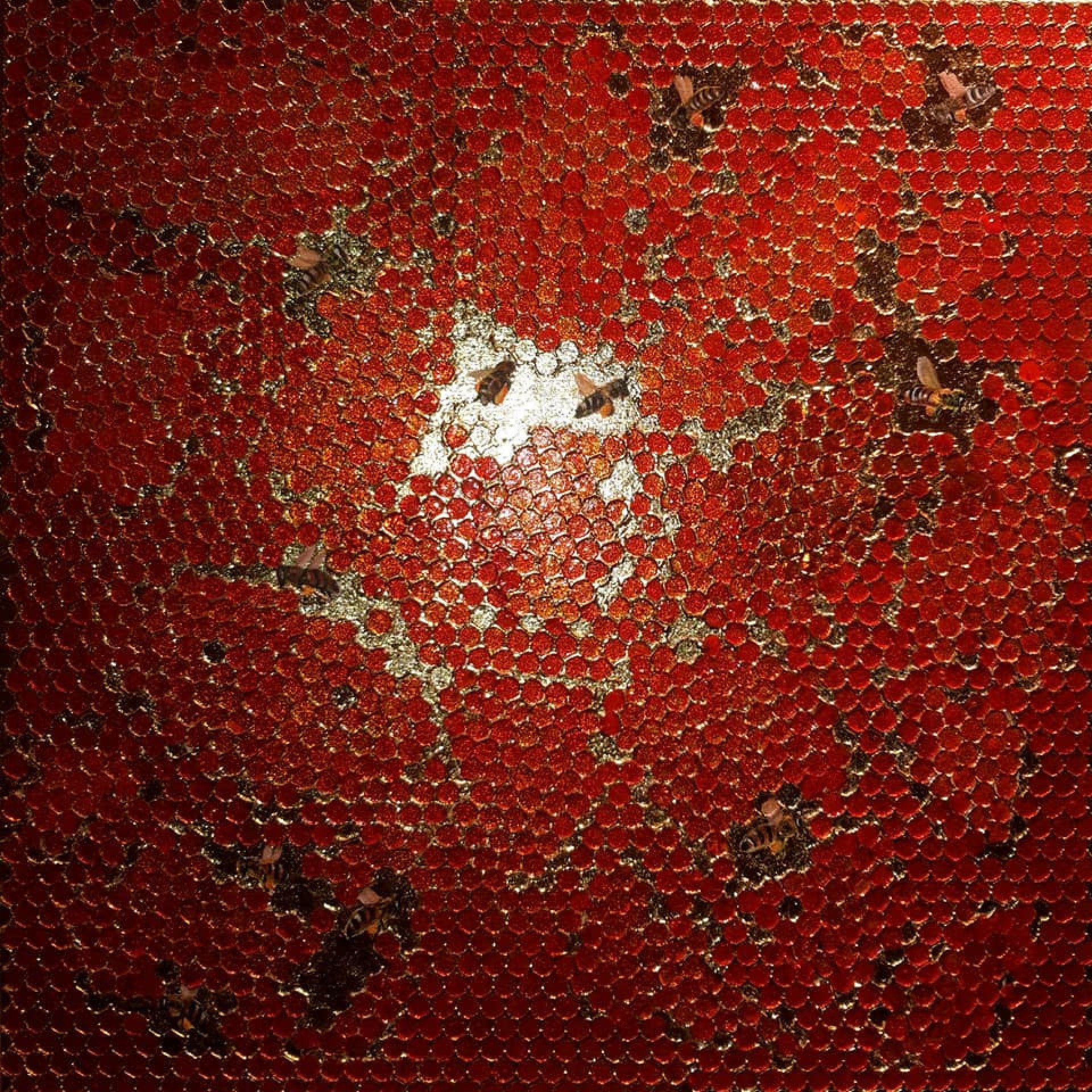 Honeycomb Painting by Larisa Ruy - Jose Art Gallery