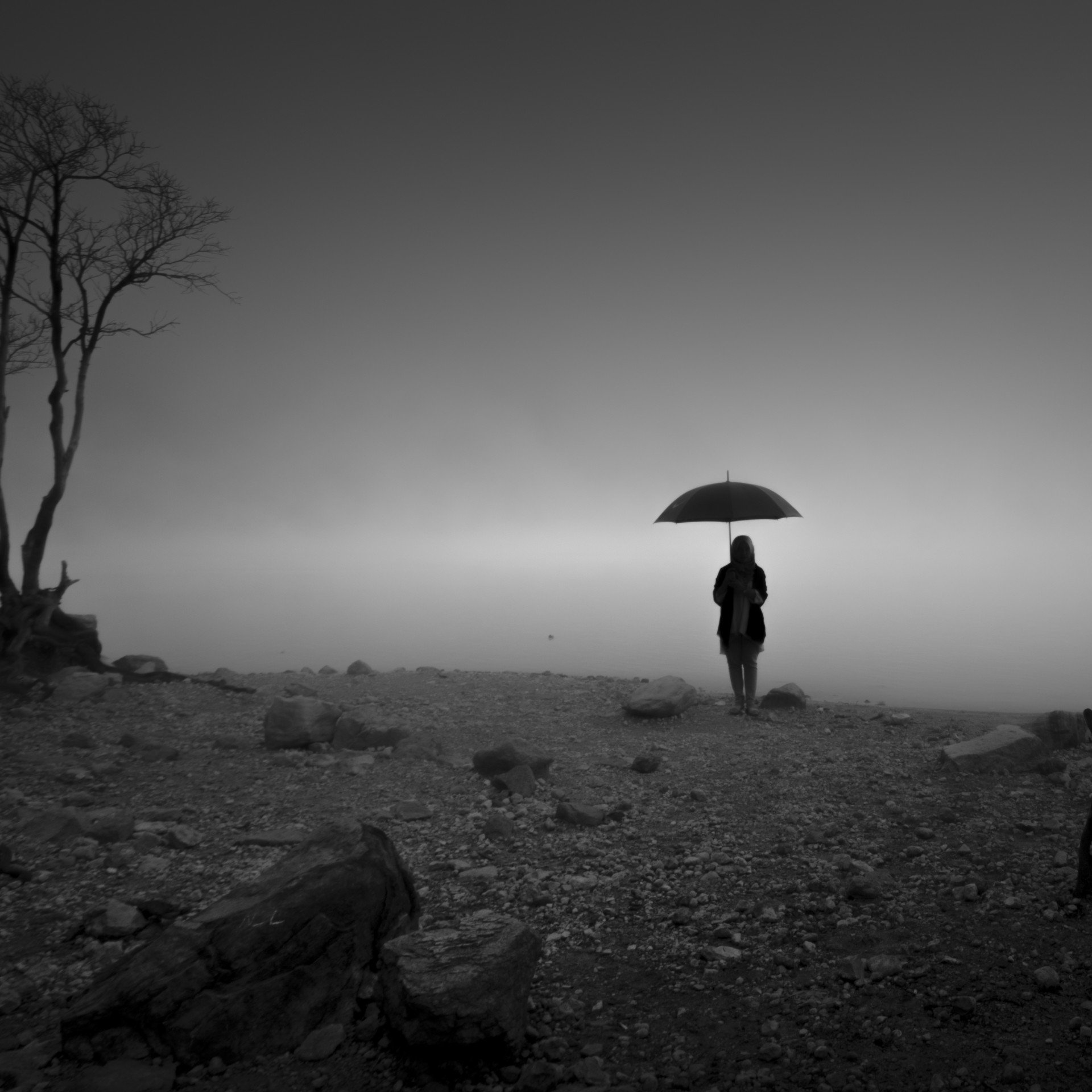 Protection Photography - Budi Rahardi - Jose Art Gallery