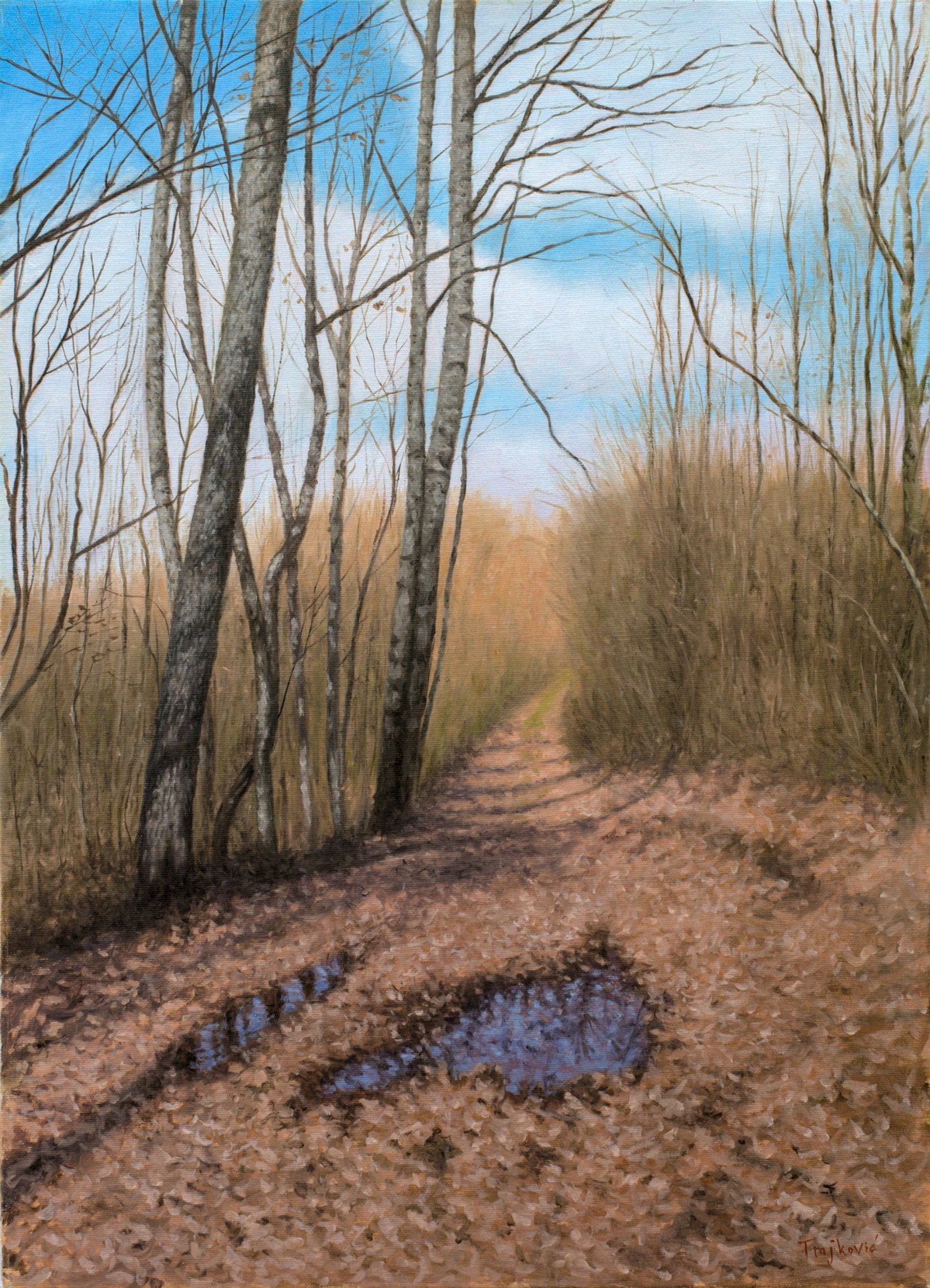 Puddle Painting by Dejan Trajkovic - Jose Art Gallery