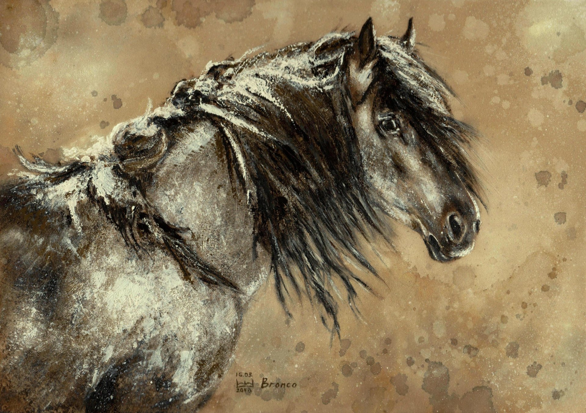 Bronco Drawing - Kateryna Bielikova - Jose Art Gallery