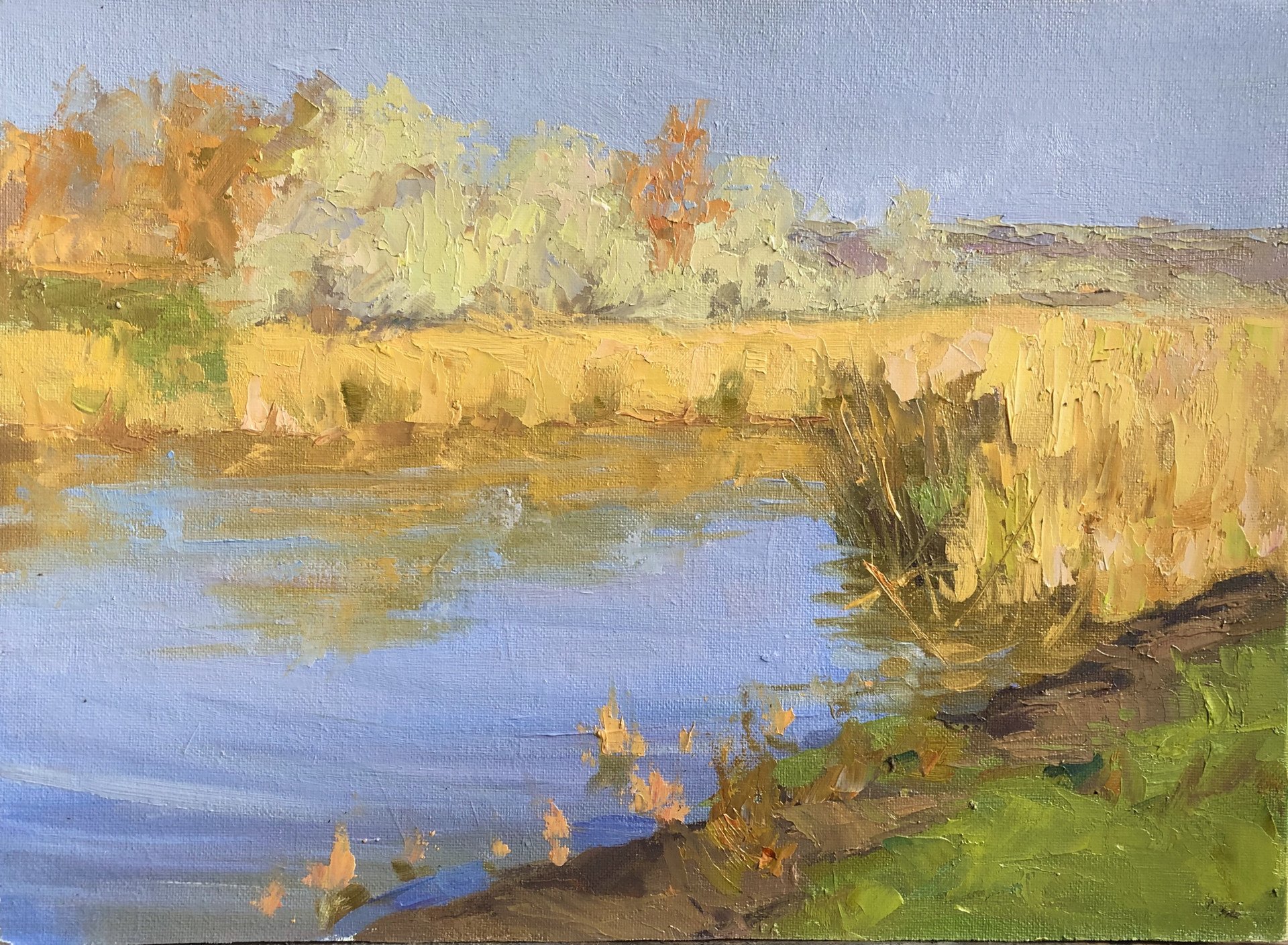 Pond. Morning Painting by Michael Malyshev