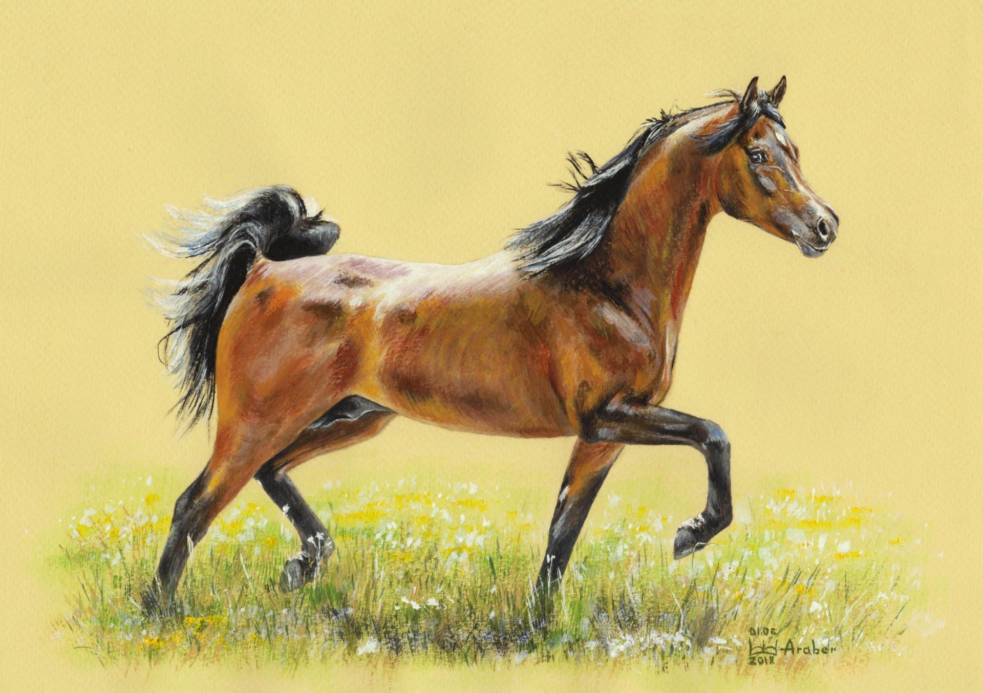 Araber Drawing - Kateryna Bielikova - Jose Art Gallery