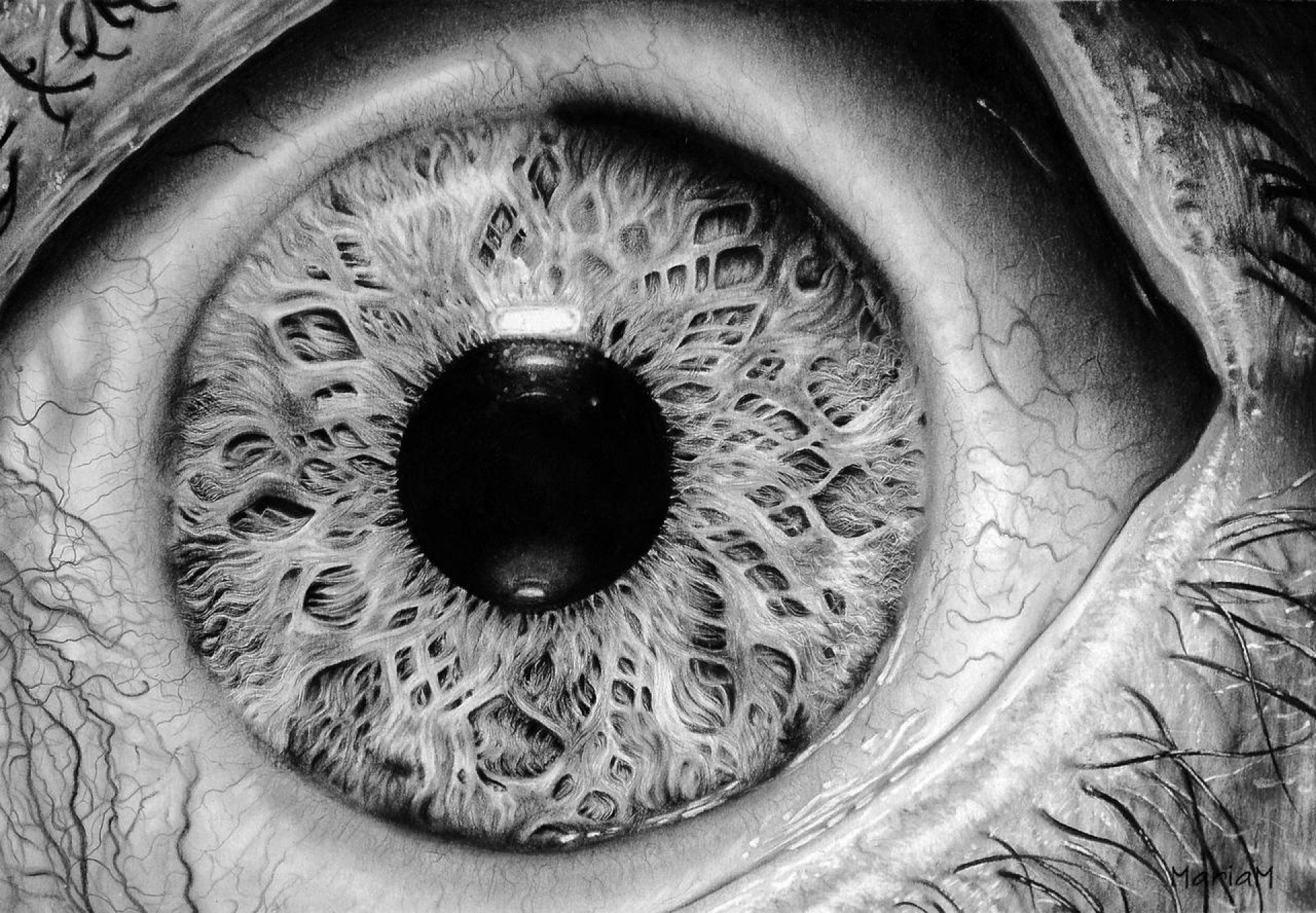 Eye macro Drawing - Maria Mosnaya - Jose Art Gallery