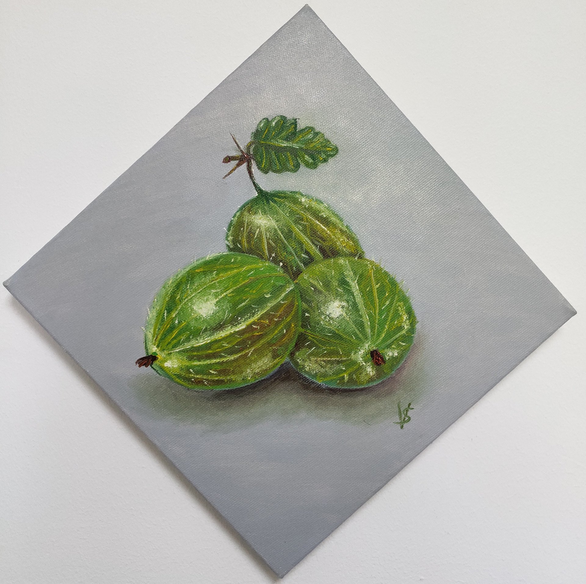Gooseberry Painting by Vira Savka - Jose Art Gallery