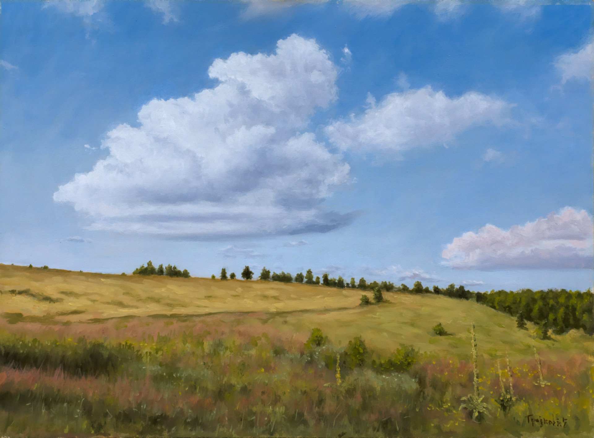 Sky Meadows Painting by Dejan Trajkovic - Jose Art Gallery