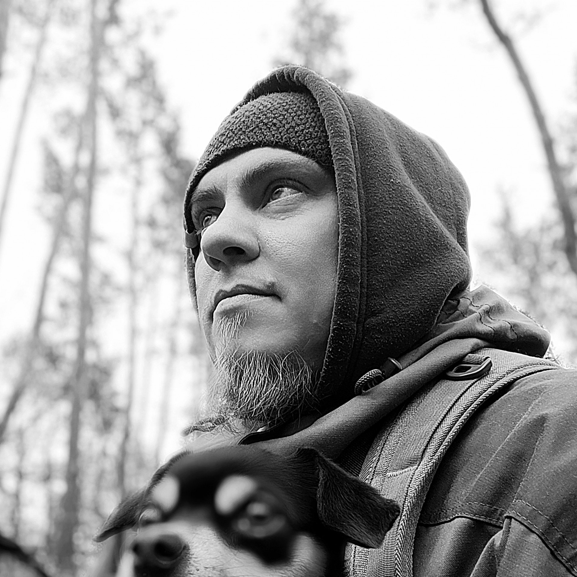 Viktor Kostenko: Artist - Jose Art Gallery