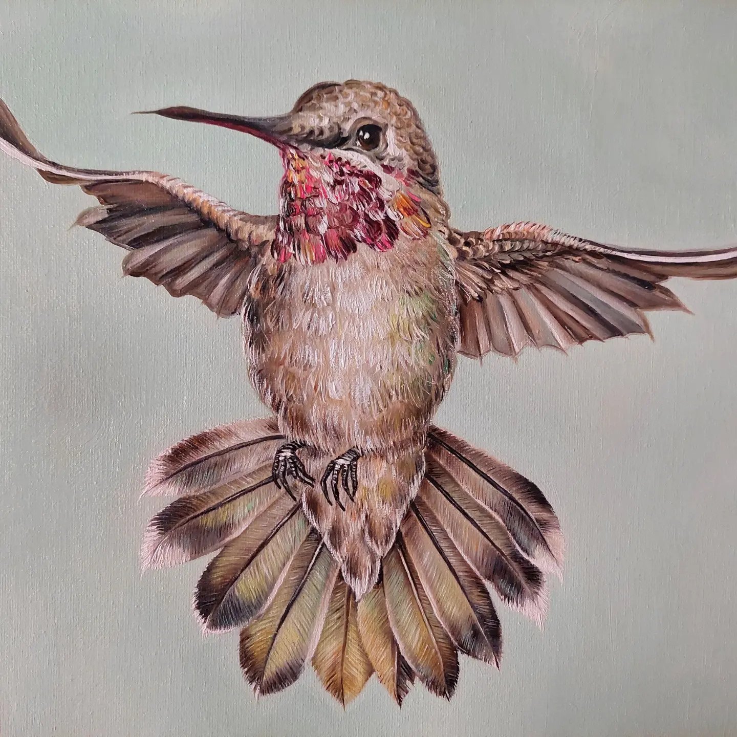 Calibri with hibiscus flower. Painting by Elena Ivanova