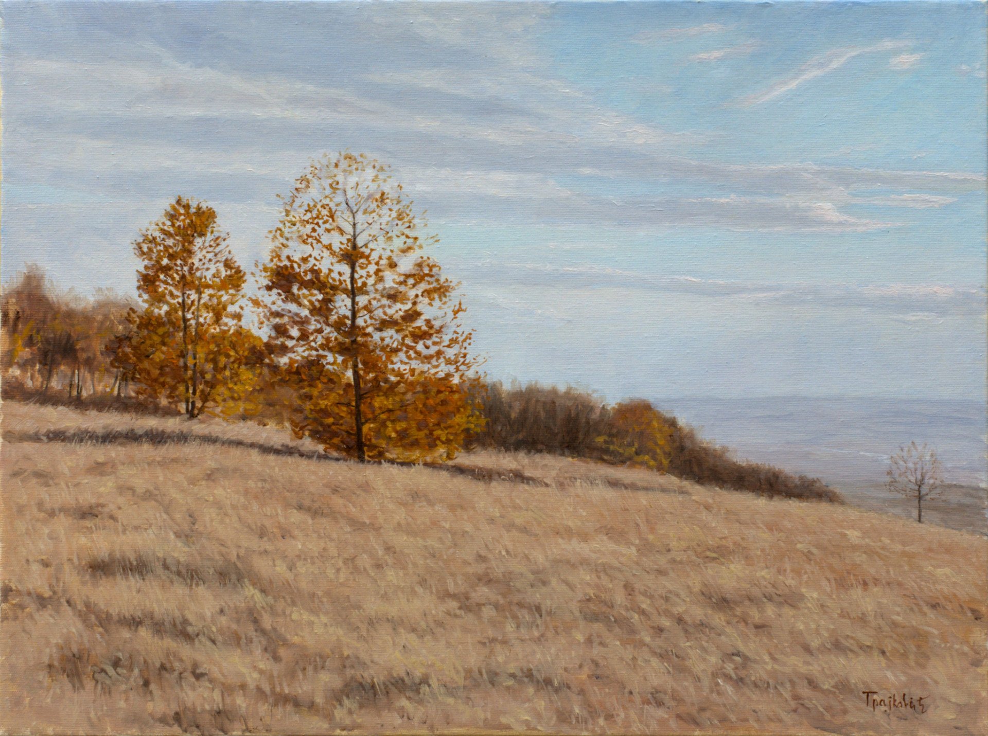 Point of View - part 1 Painting by Dejan Trajkovic