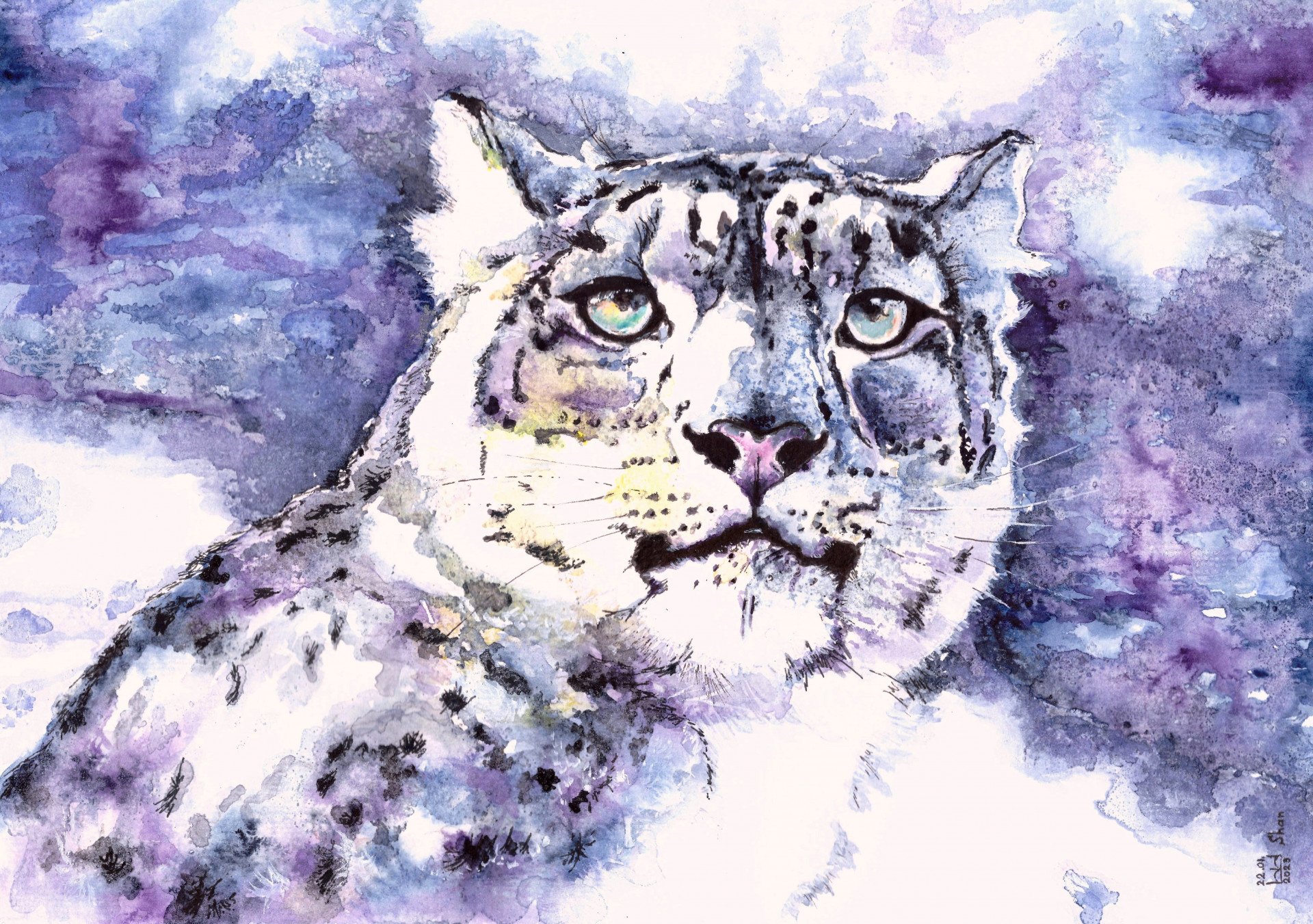 Shan Drawing - Kateryna Bielikova - Jose Art Gallery