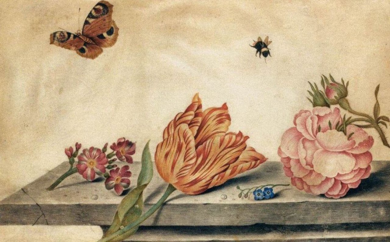 THE ART OF DRAWING FLOWERS - Jose Art Gallery