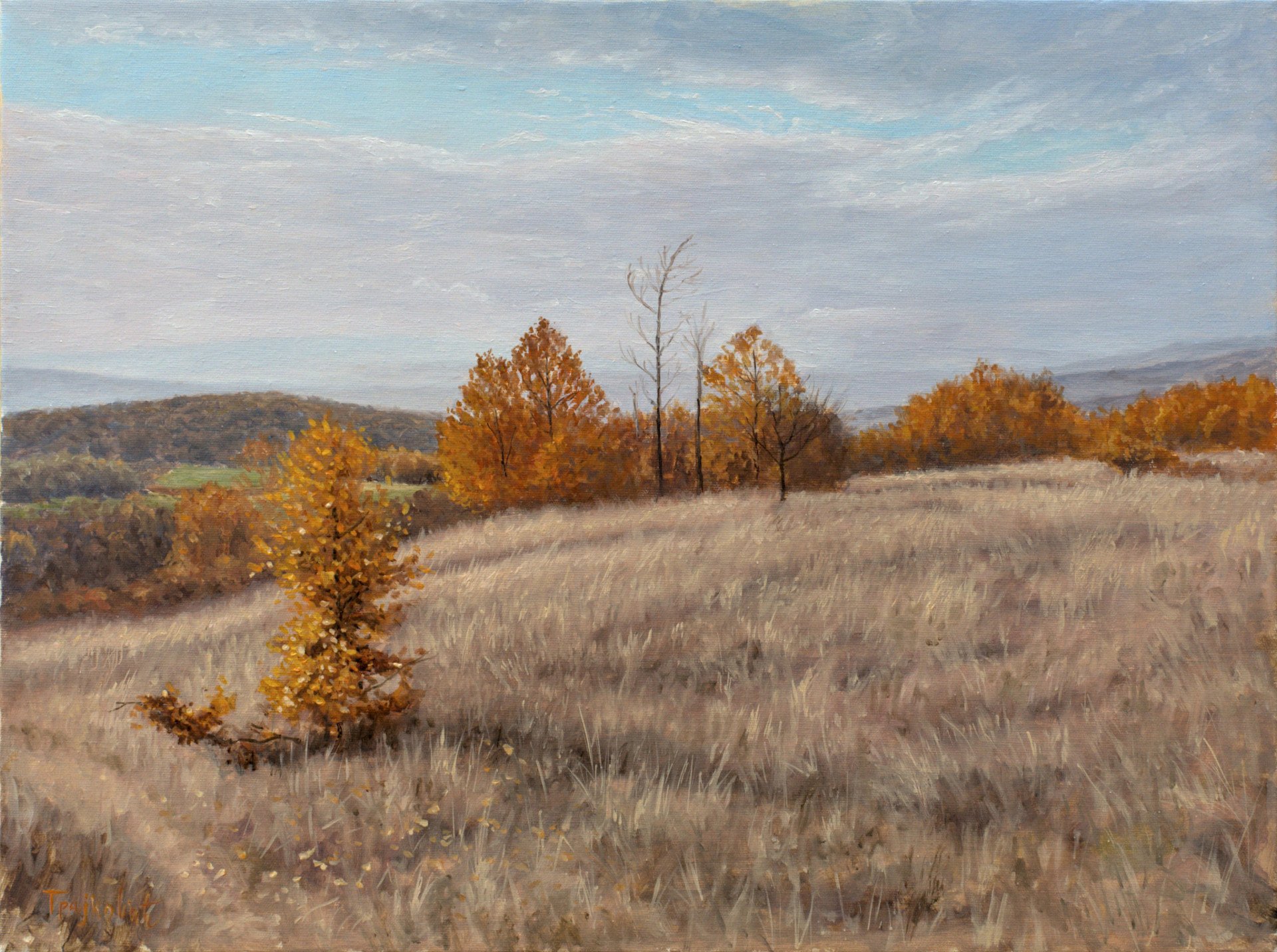 Point of View - part 2 Painting by Dejan Trajkovic