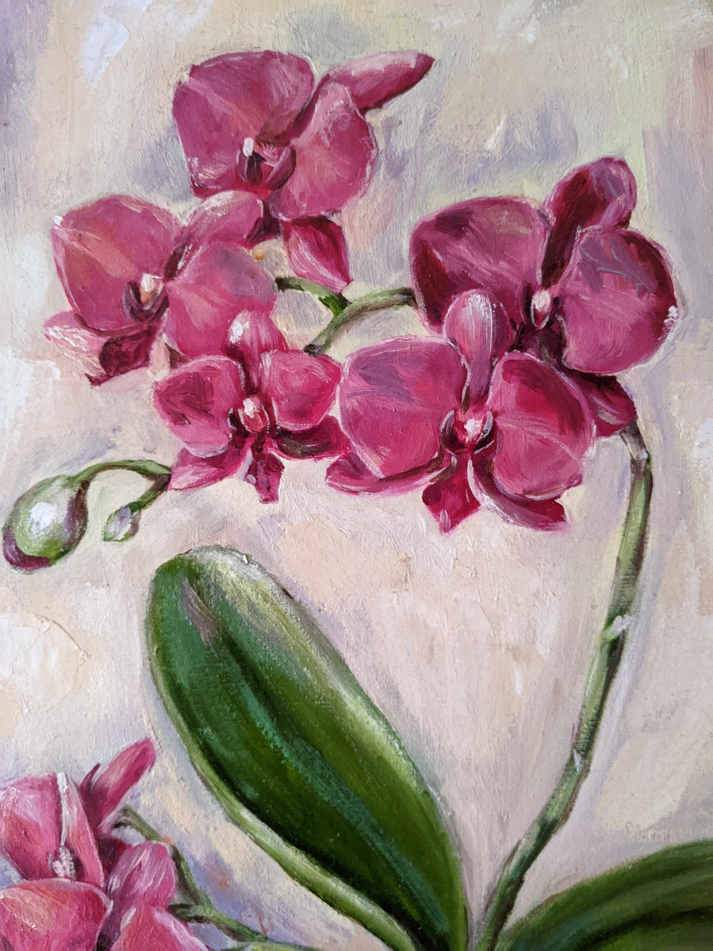 Orchid. Painting by Kateryna Shuvalova - Jose Art Gallery