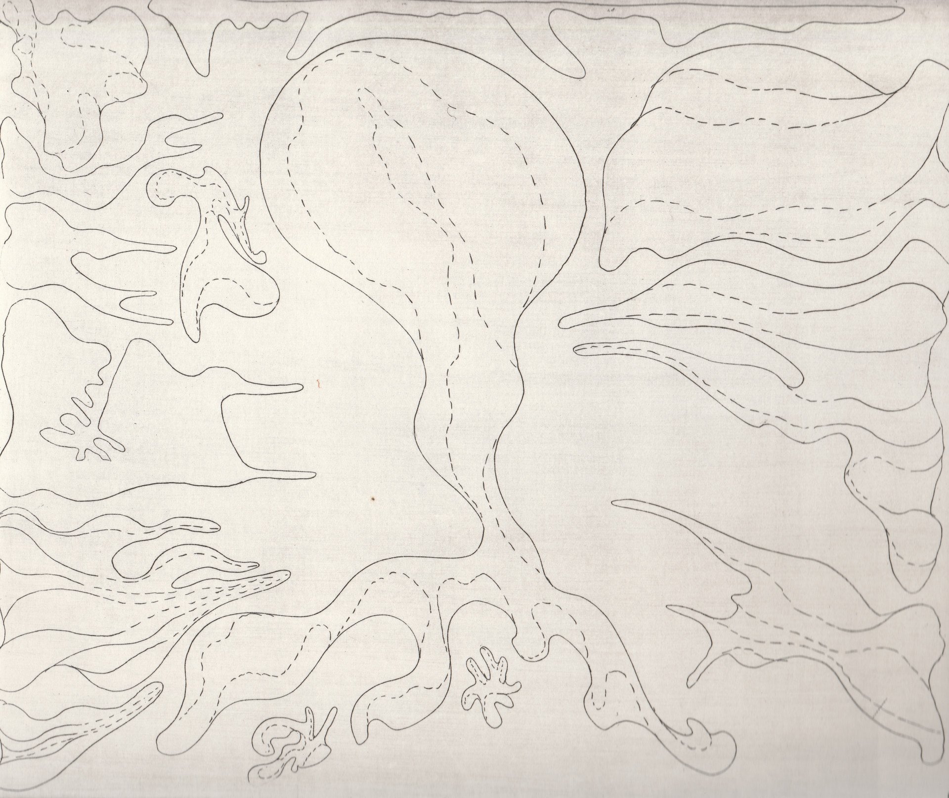 Reaching Forms Drawing - Sandro Cocco - Jose Art Gallery