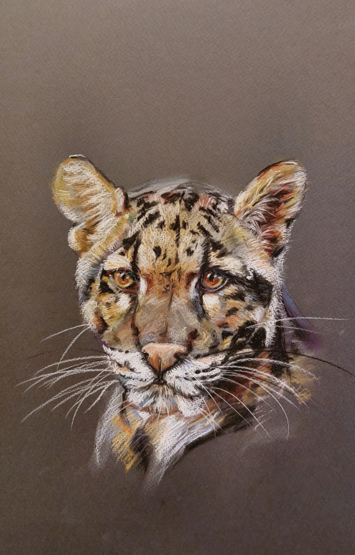 My pastel works, Cats Drawing - Natali Diduh