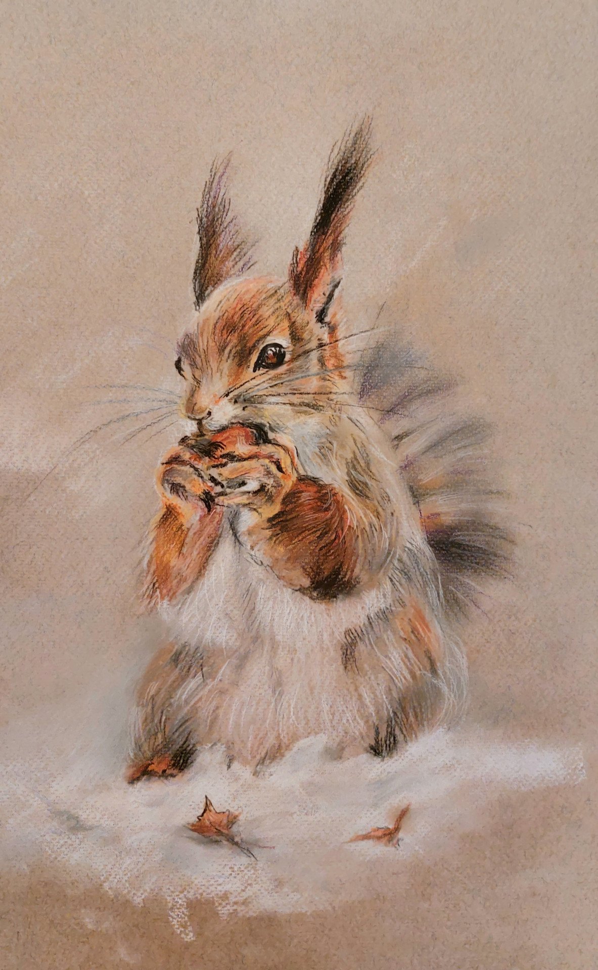 My pastel works Belchenok Drawing - Natali Diduh