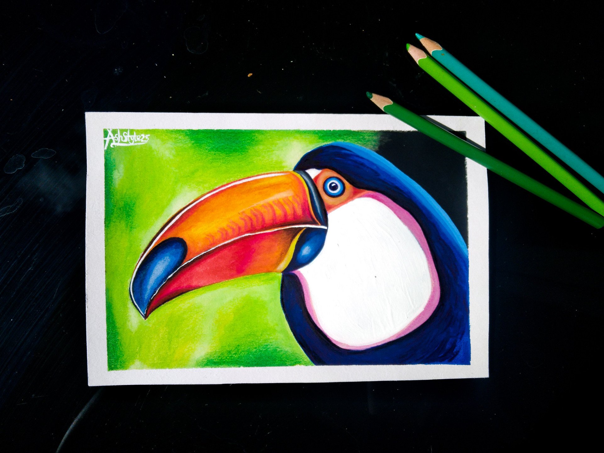 The Toucan Original Framed Art Drawing - ASHSTYLE25