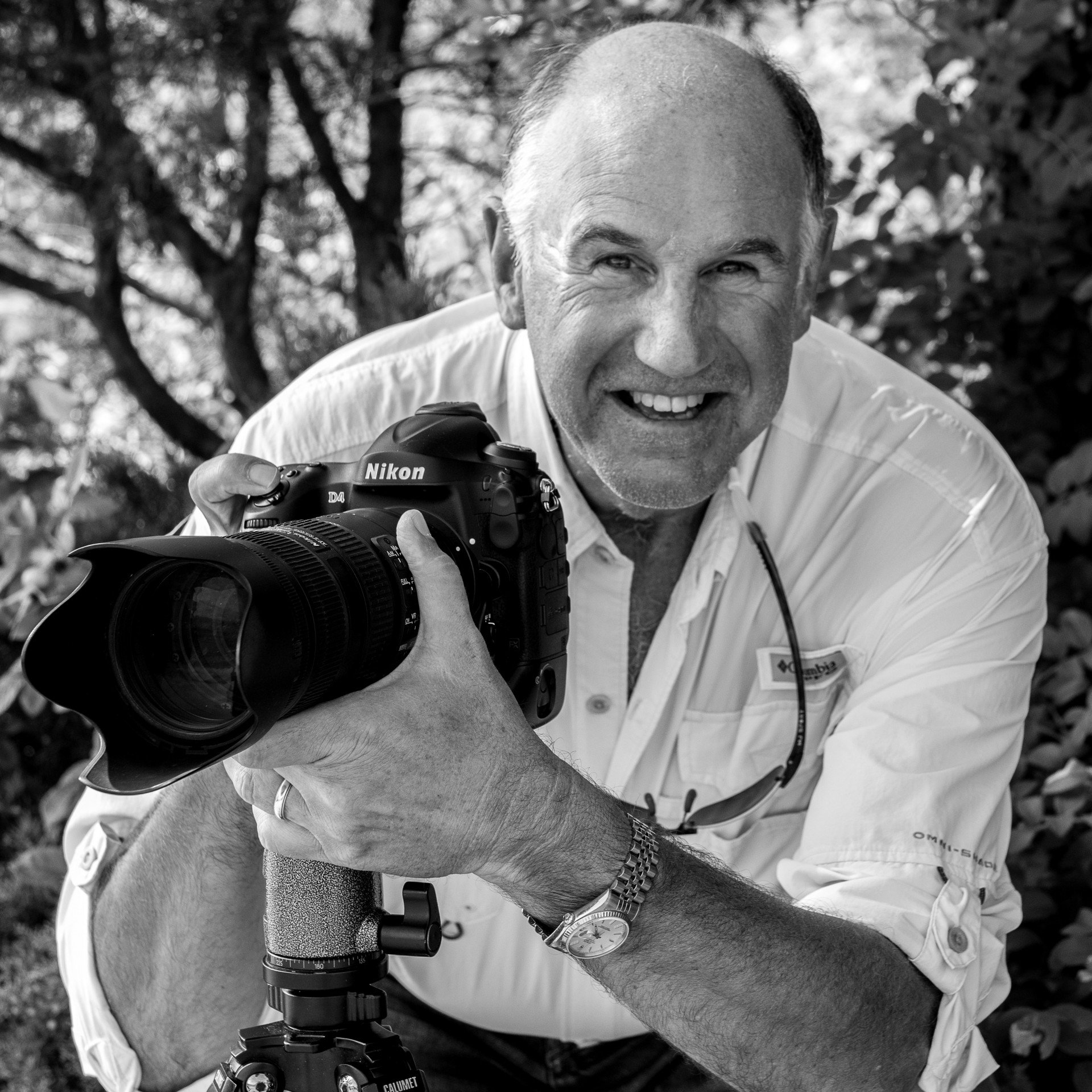 Michael S Cohen: Artist - Jose Art Gallery