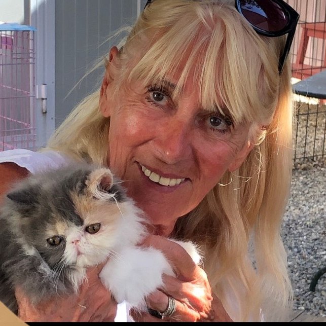 Christiane Guerry: Artist - Jose Art Gallery