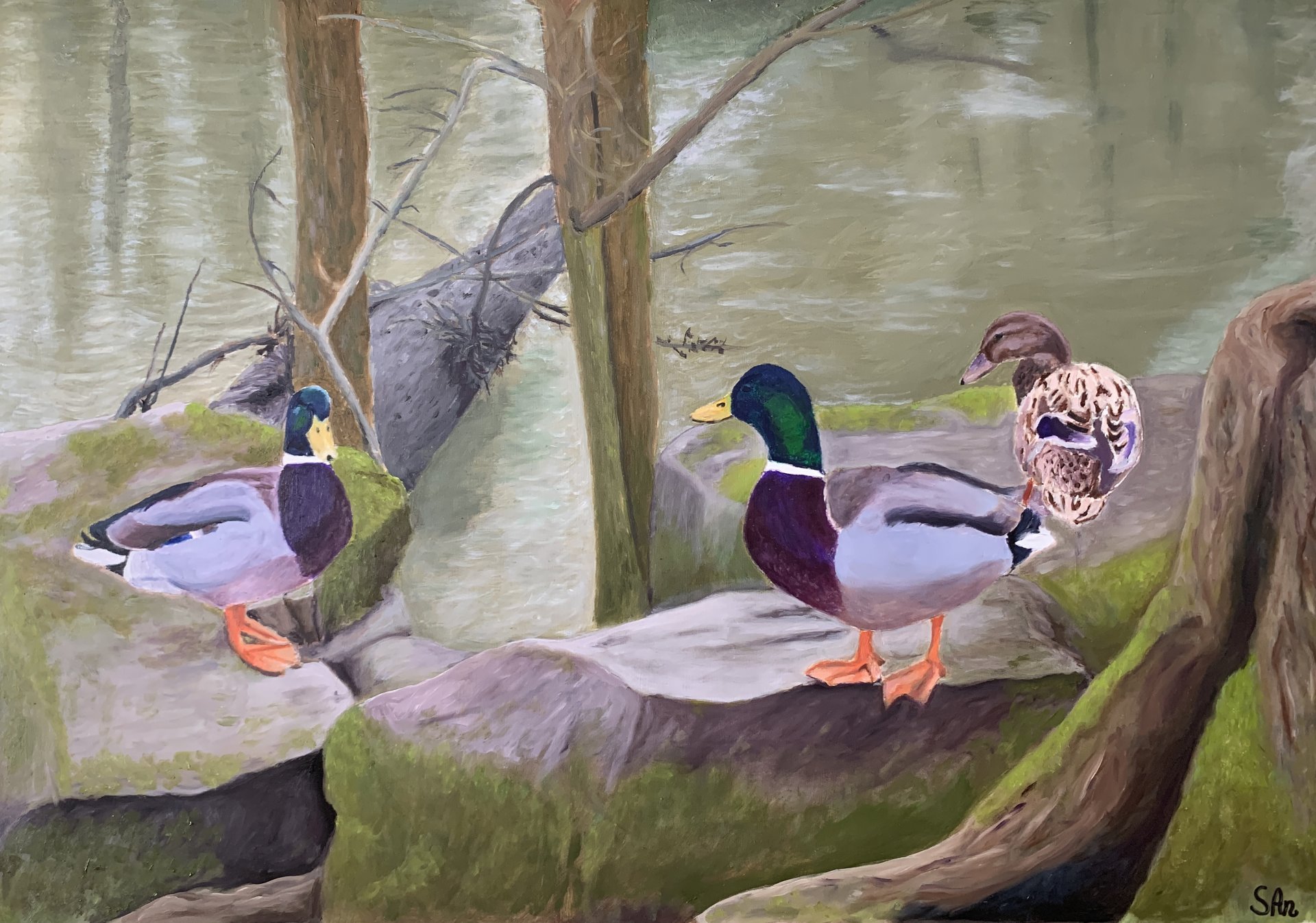 Ducks by The Råå River Digital Art - Sonny Andersson