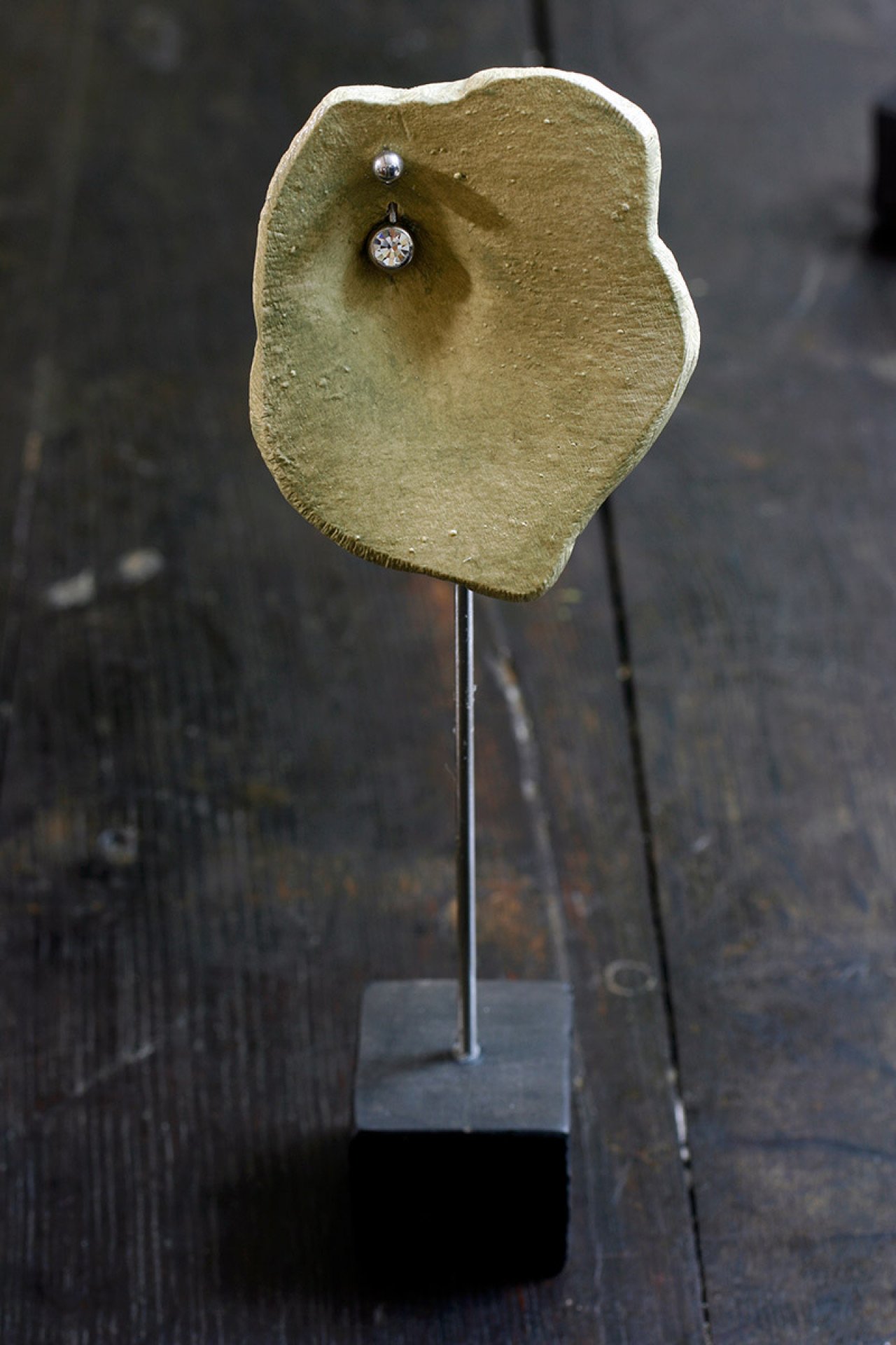 Belly Piercing Display Sculpture - Robert Nelson