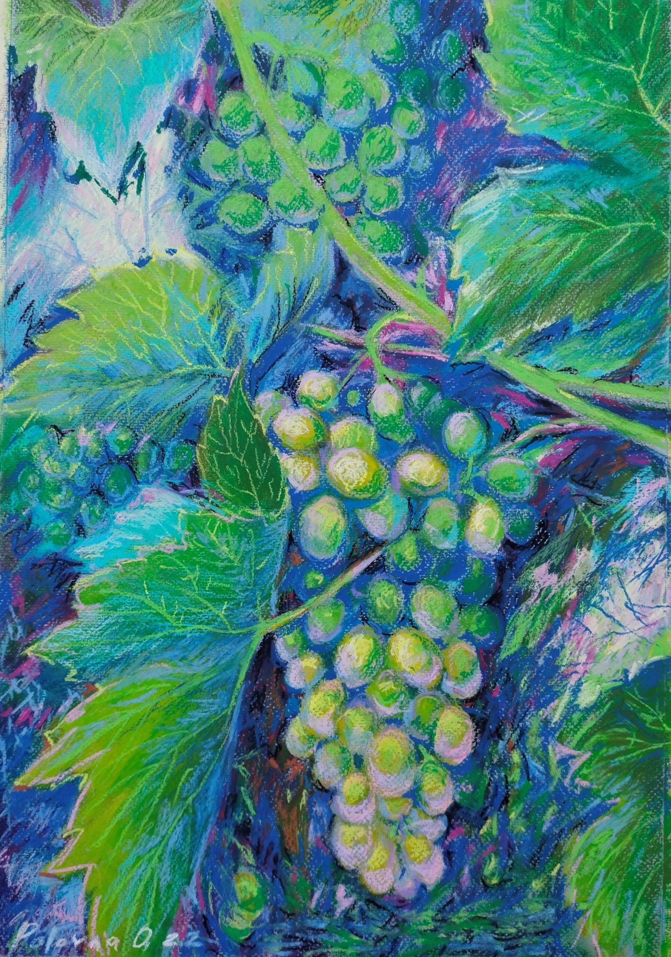 A bunch of grapes Painting by Olena Polovna - Jose Art Gallery