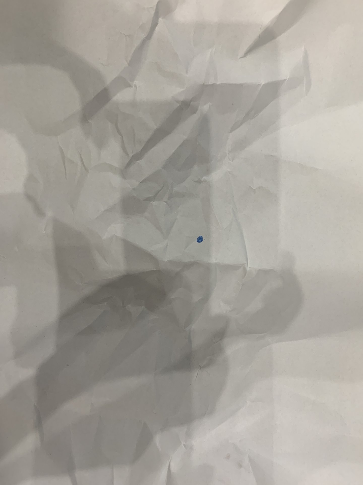 . Drawing - Kotik - Jose Art Gallery