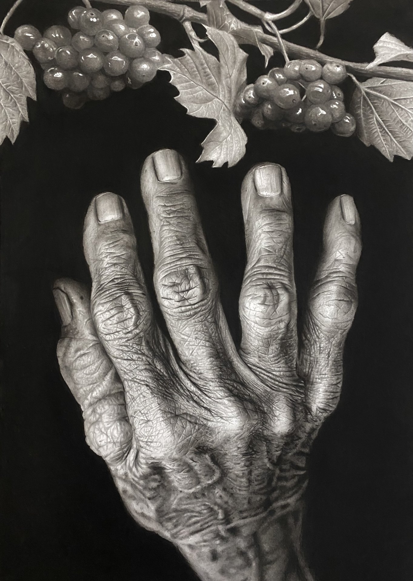 Kalina Drawing - Oleksandr Kanyuka - Jose Art Gallery