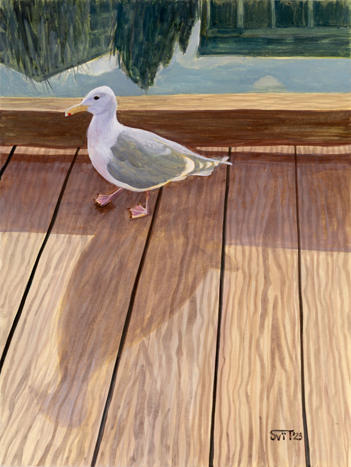 Seagull_2 Drawing - Svitlana Tetokina - Jose Art Gallery