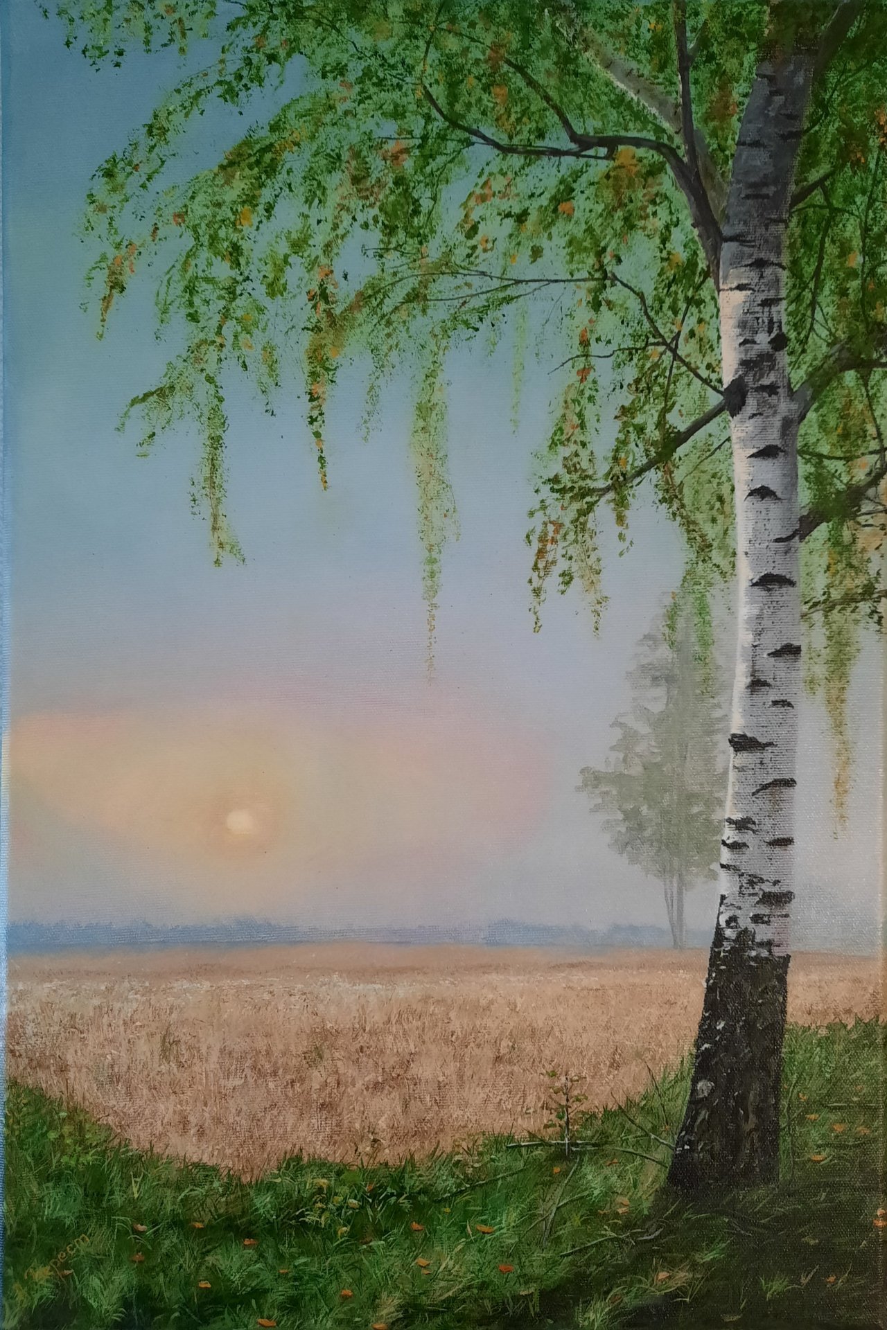 Virch In A Foggy Dawn Painting by Olena Berest