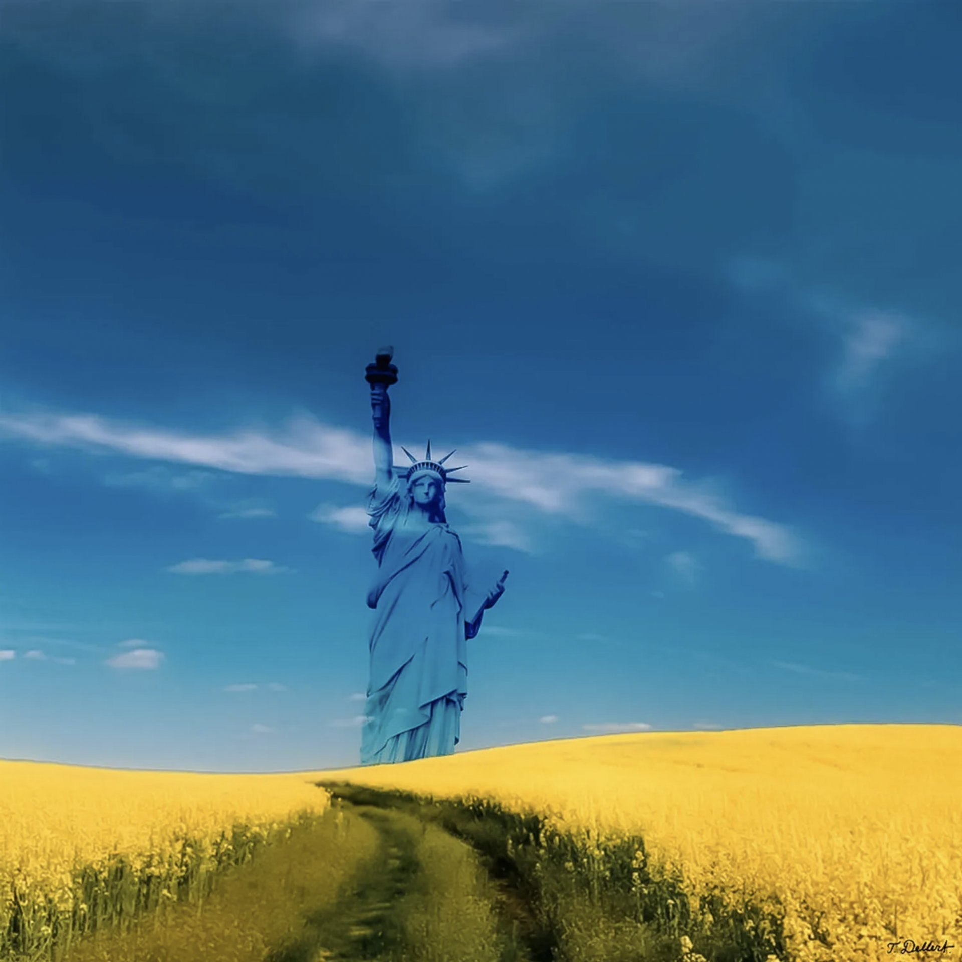 FREEDOM Photography - Thomas Dellert - Jose Art Gallery