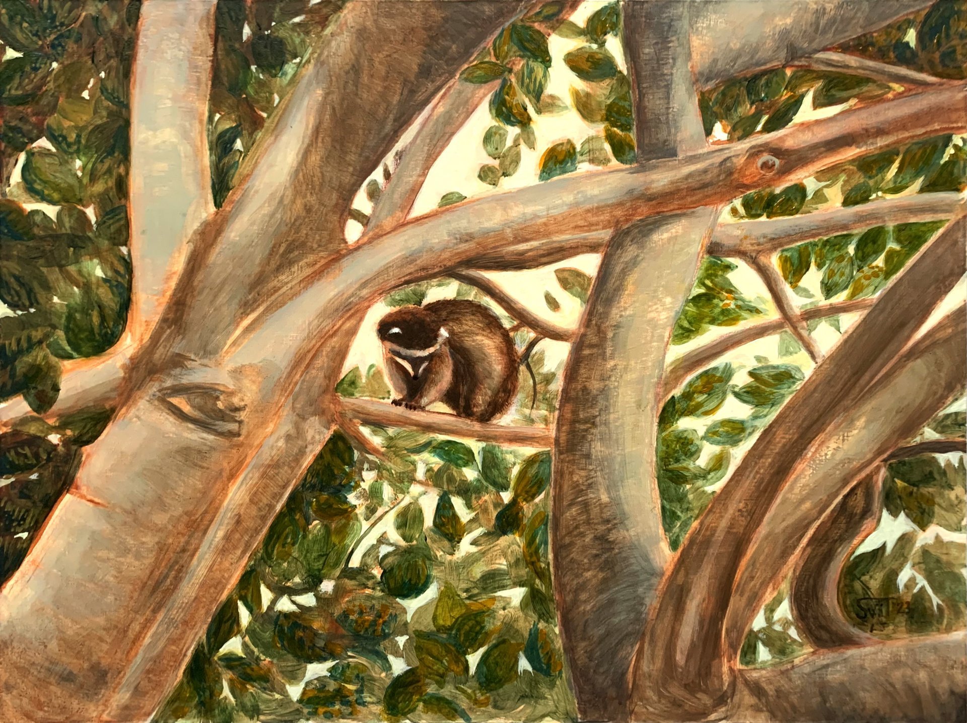 Raccoon on a tree Drawing - Svitlana Tetokina